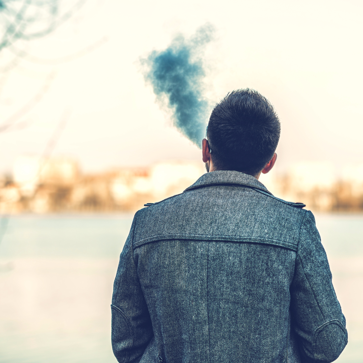 Find Out How To Best Use Salvia Divinorum And Prevent Disappointment